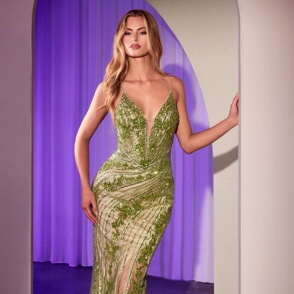 CD | Dresses | New Formal Sleeveless Sequins Embellished Maxi Gown W ...
